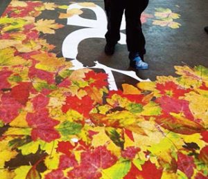 Optimum Technology | Interactive Solutions | Digital Signage